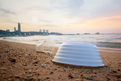 Why Styrofoam is bad for your health and the planet | 1 Million Women