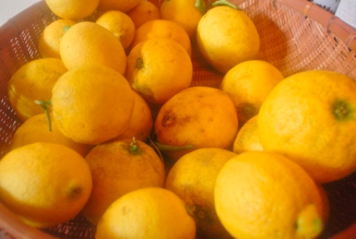 The 30 Lemon Quest : Vegan Lemon and Poppy Seed Pancakes | 1 Million Women