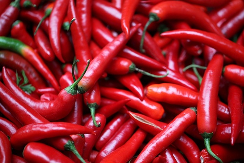 How to grow your own chillies at home | 1 Million Women