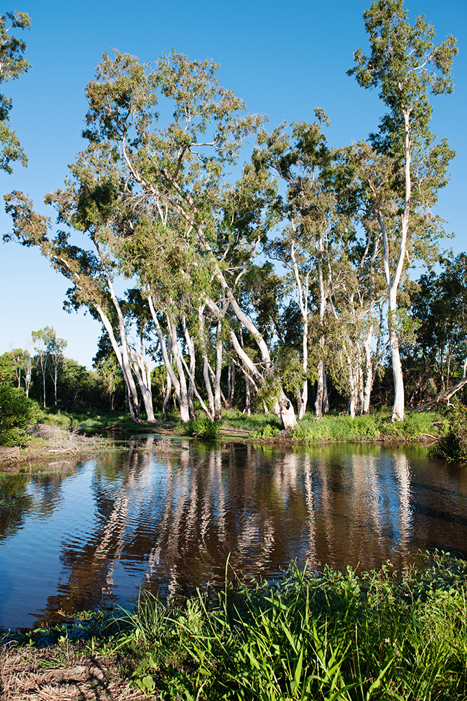 Regenerating land & community at Mungalla Station | 1 Million Women